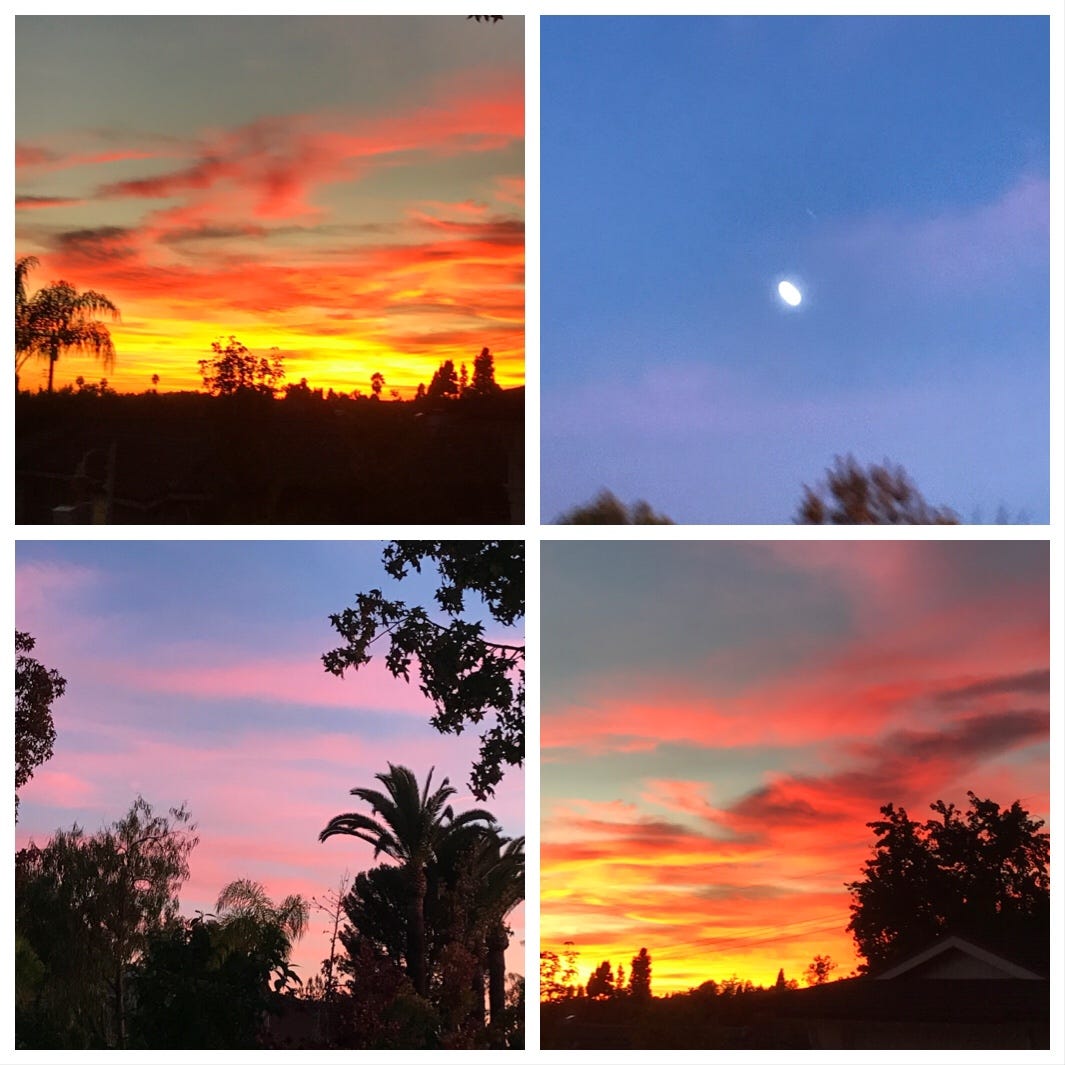 Yet Another CHALLENGE 🤷🏼‍♀️. This time it’s a “This or That for NEW ...