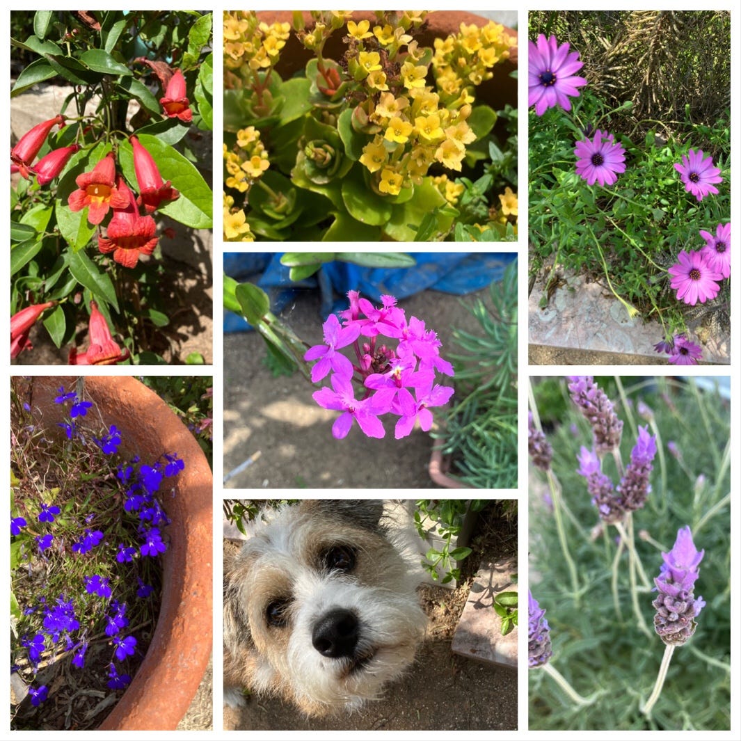 Five photos that represent me!. A Challenge | by Lu Skerdoo | Good ...