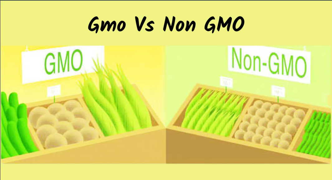 THE DIFFERENCE BETWEEN GMO AND NON-GMO FOODS | by VANA LIFE FOODS | Medium