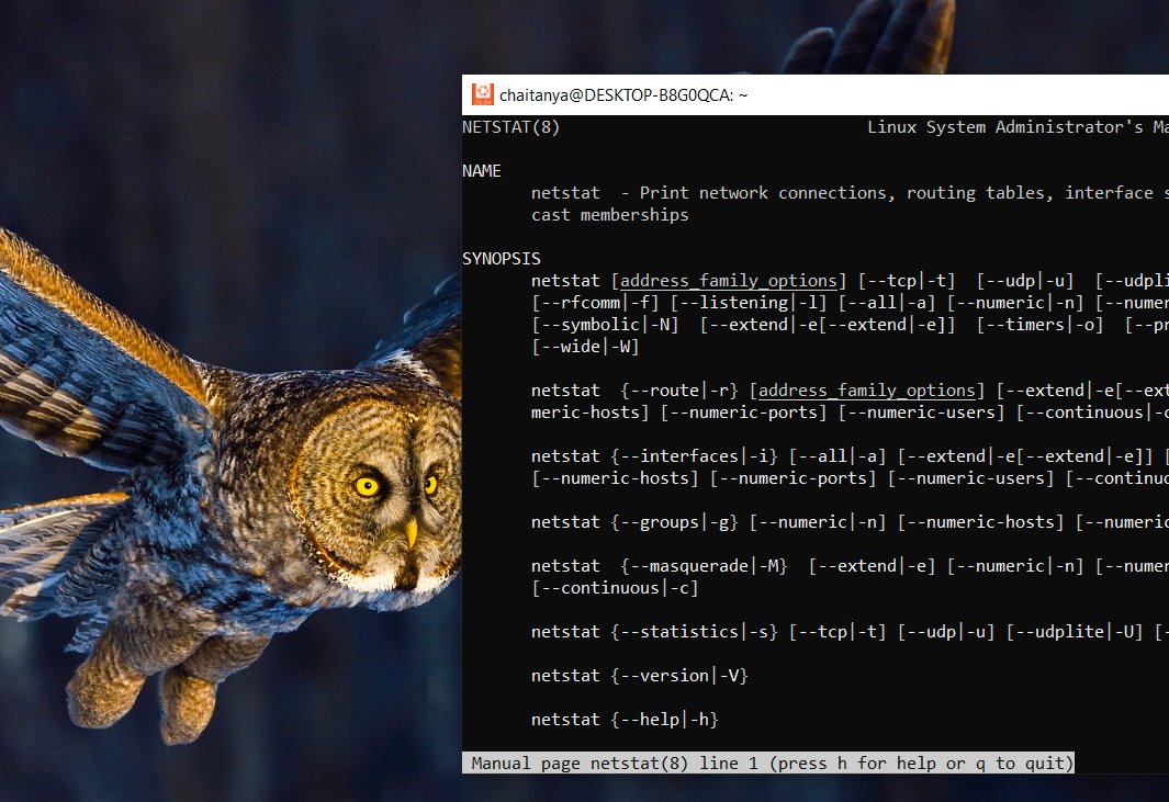 Understanding Socket Connections with netstat and ss | by Chaitanya Varma Manthena | itversity ...