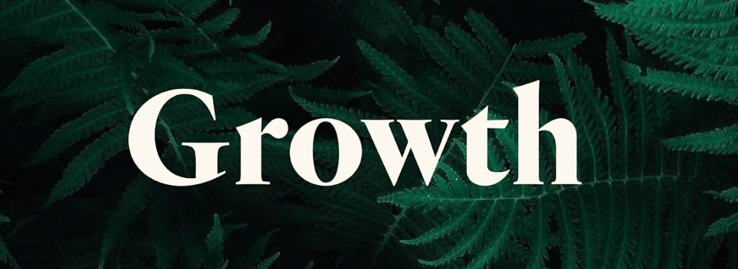 Continuous Improvement Requires a Cadence — How Scheduled Growth Days ...
