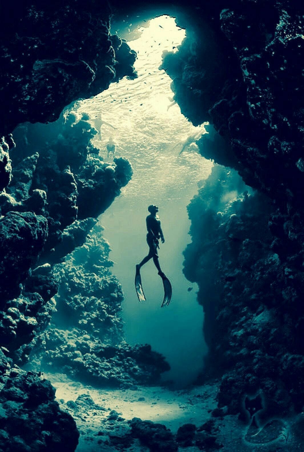 Scuba diving and underwater exploration are exciting and adventurous ...
