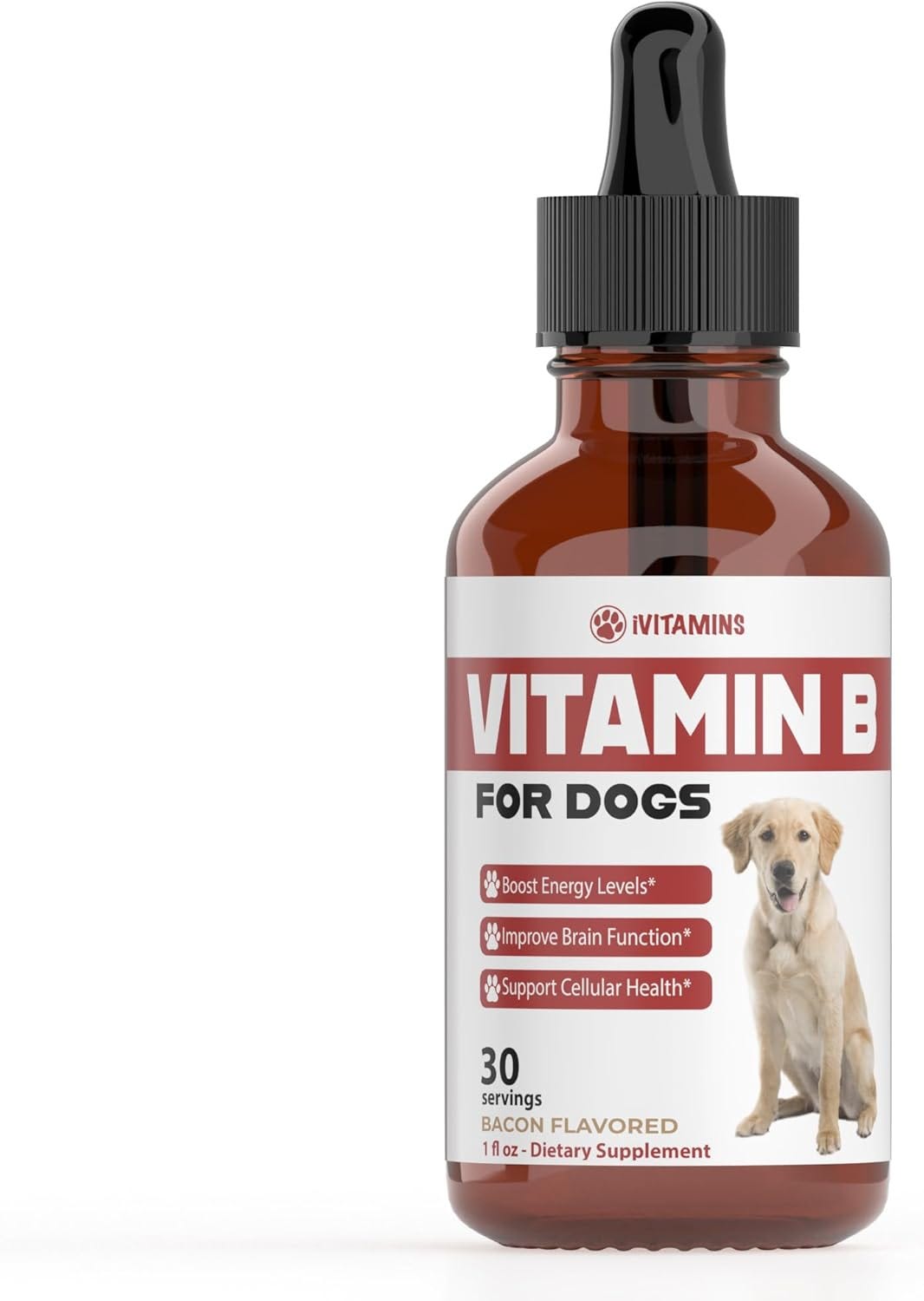 Vitamin B for Dogs: Bacon Delight | by Pawsome Pet Paradise | Sep, 2024 ...