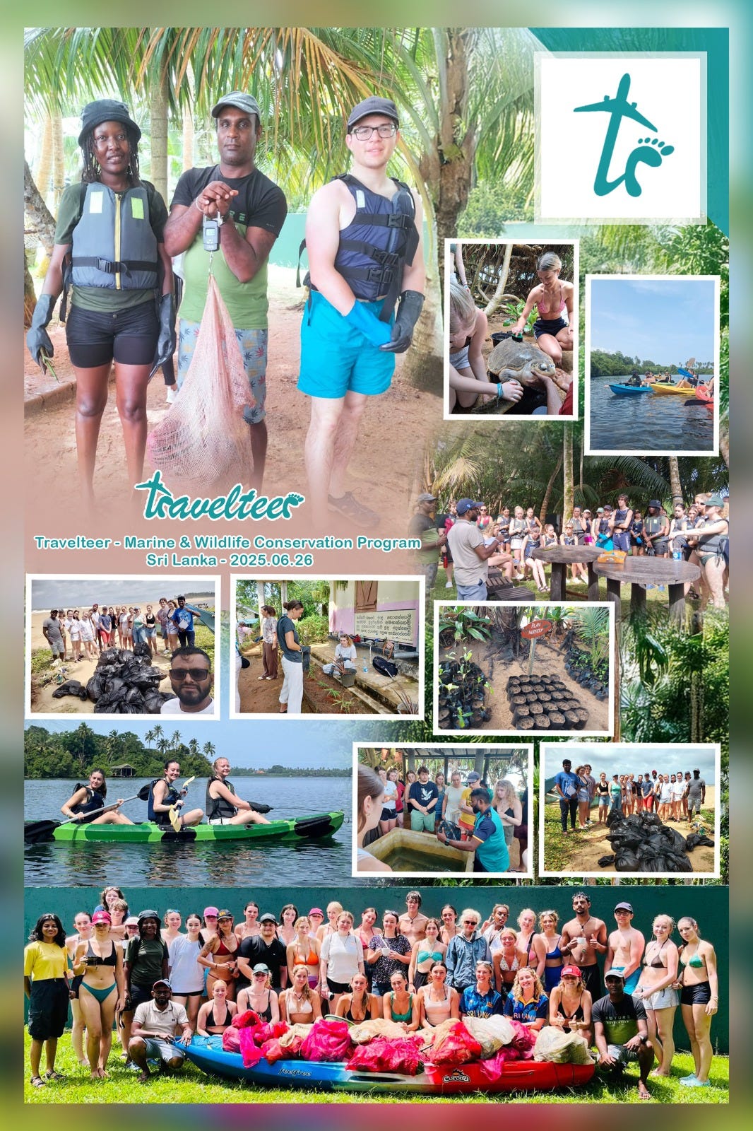 From Conservation to Exploration: My Travelteer Traineeship story. | by ...
