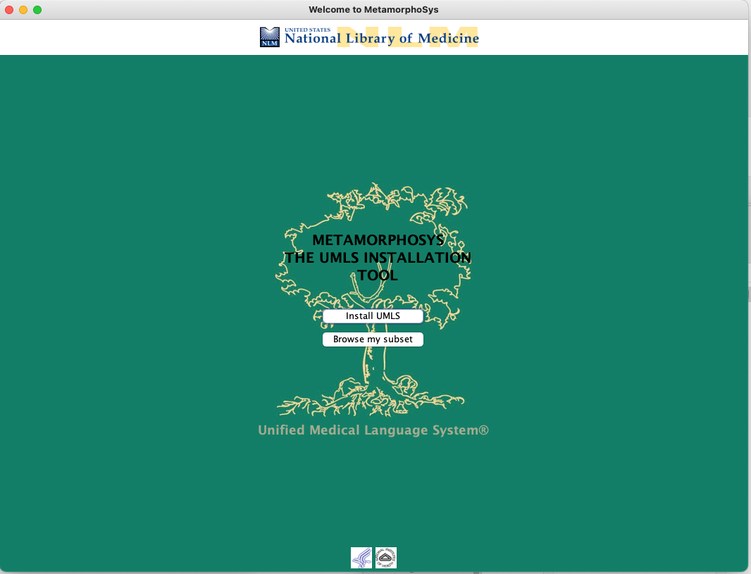 How to build your customized UMLS dataset step by step | by Lixiaoqing ...