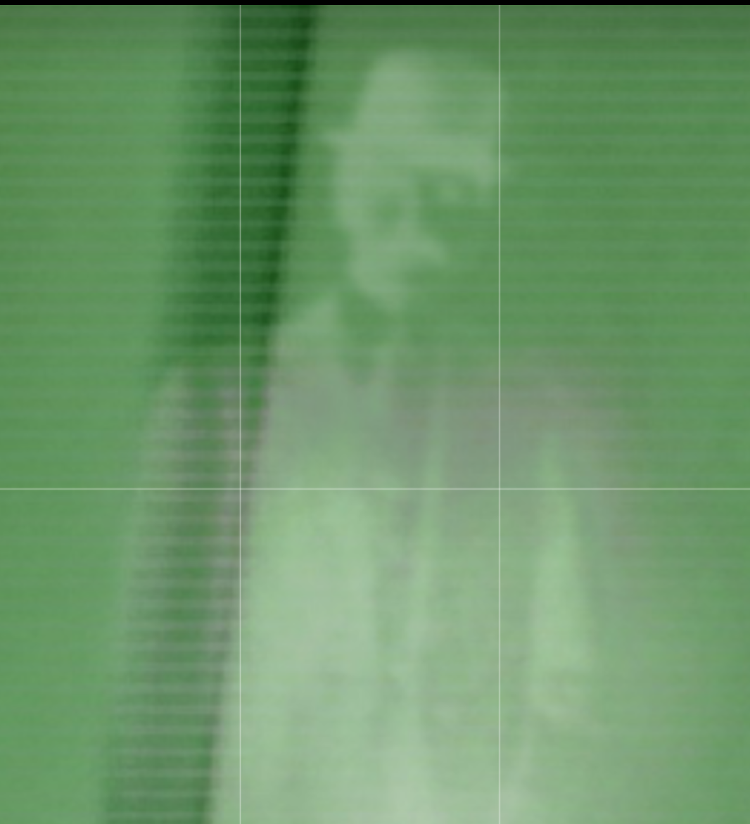 Ghost-ology #4 By: Miramar. Recognition of Ghosts | by Miramar | Medium