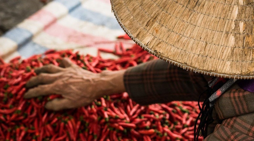 Cabai Melambung Masyarakat Bingung | by Mayong Firdaus | Medium