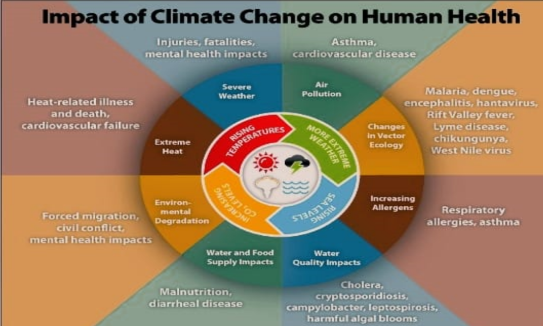 When Weather Strikes: The Physical Impact of Climate Change on Our Skin ...