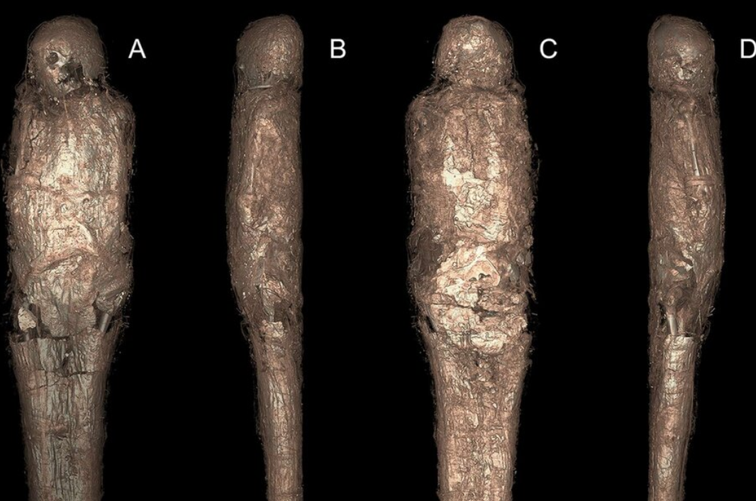 5 Mummy Discoveries That Terrified Archaeologists | by The Silent ...