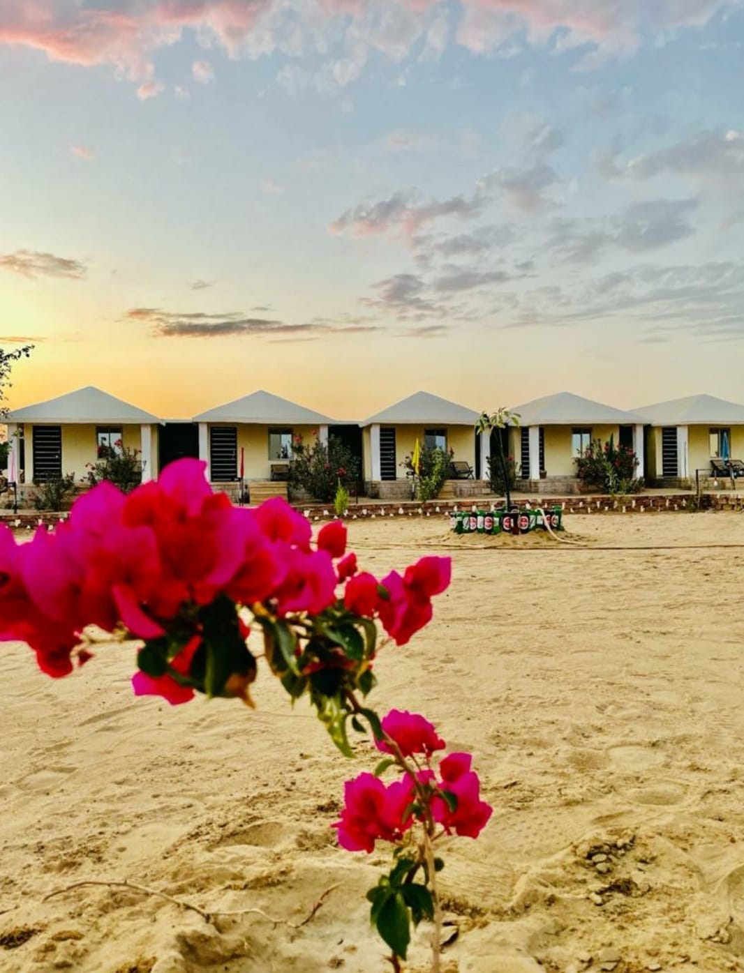Sam sand dunes Desert camp - Dodesertheritagecampandresort - Medium