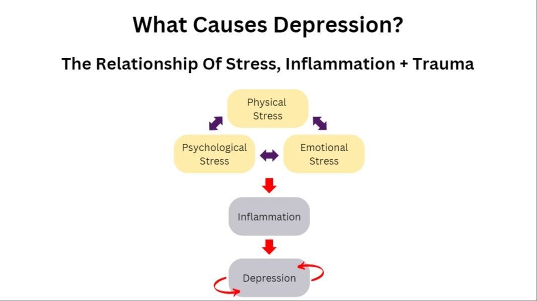 What Causes Depression? The Relationship Of Stress, Inflammation ...
