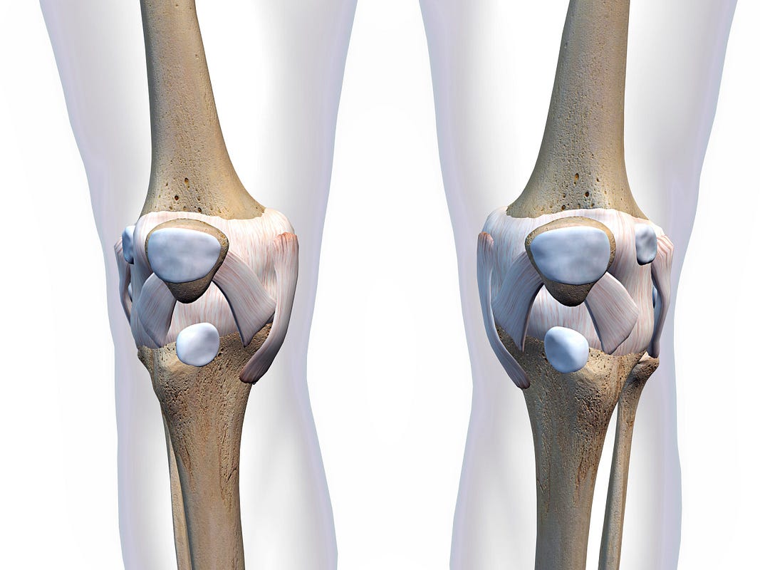 What are the effective ways to recover from the knee pain? | by Gladys ...