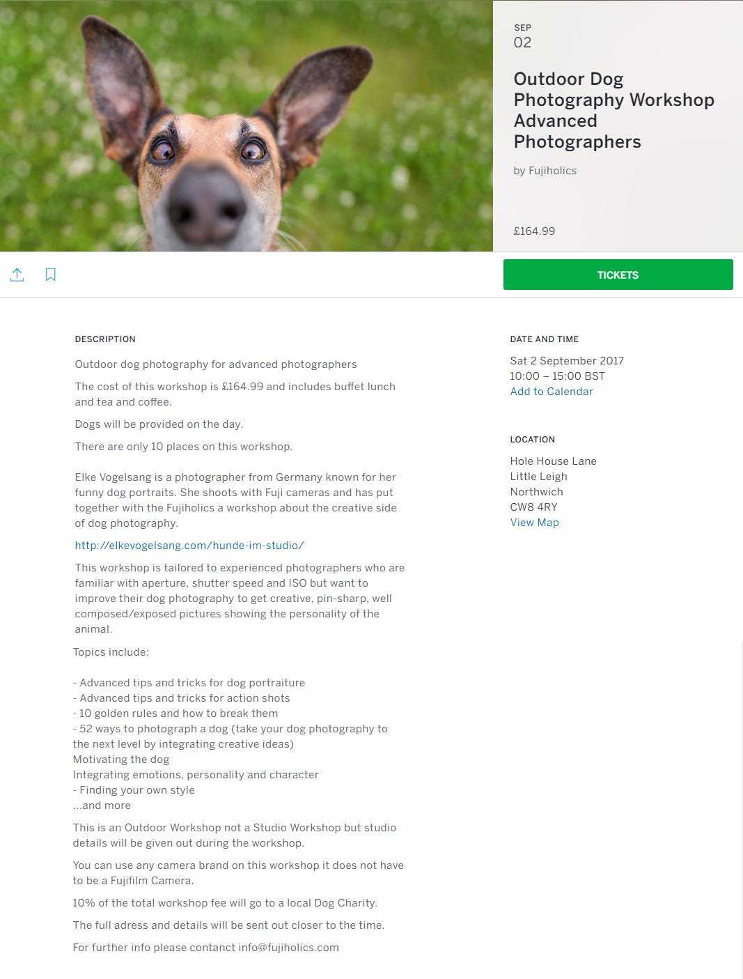 Famous Dog Photography