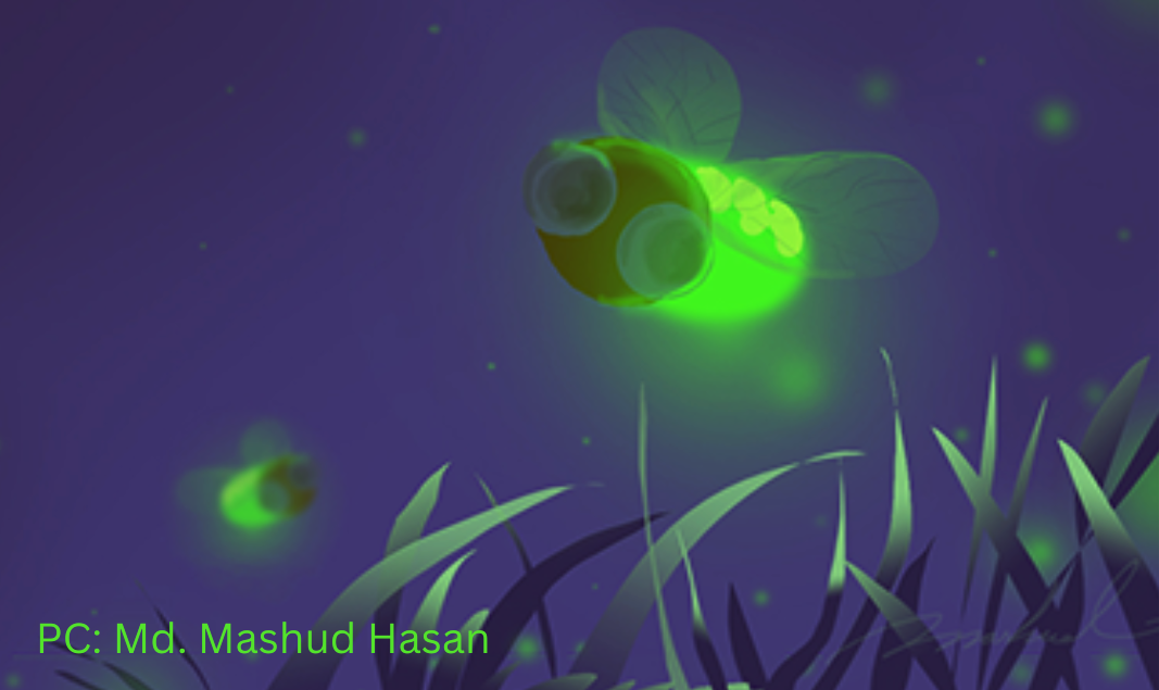 4 Firefly Poems. A Story in Amber Luminance | by Jacob Oommen | Jan ...