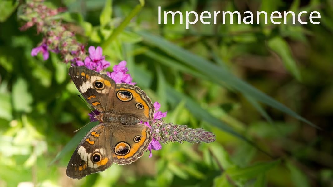 The Second Thought: Impermanence. By Michael Erlewine | by Michael ...