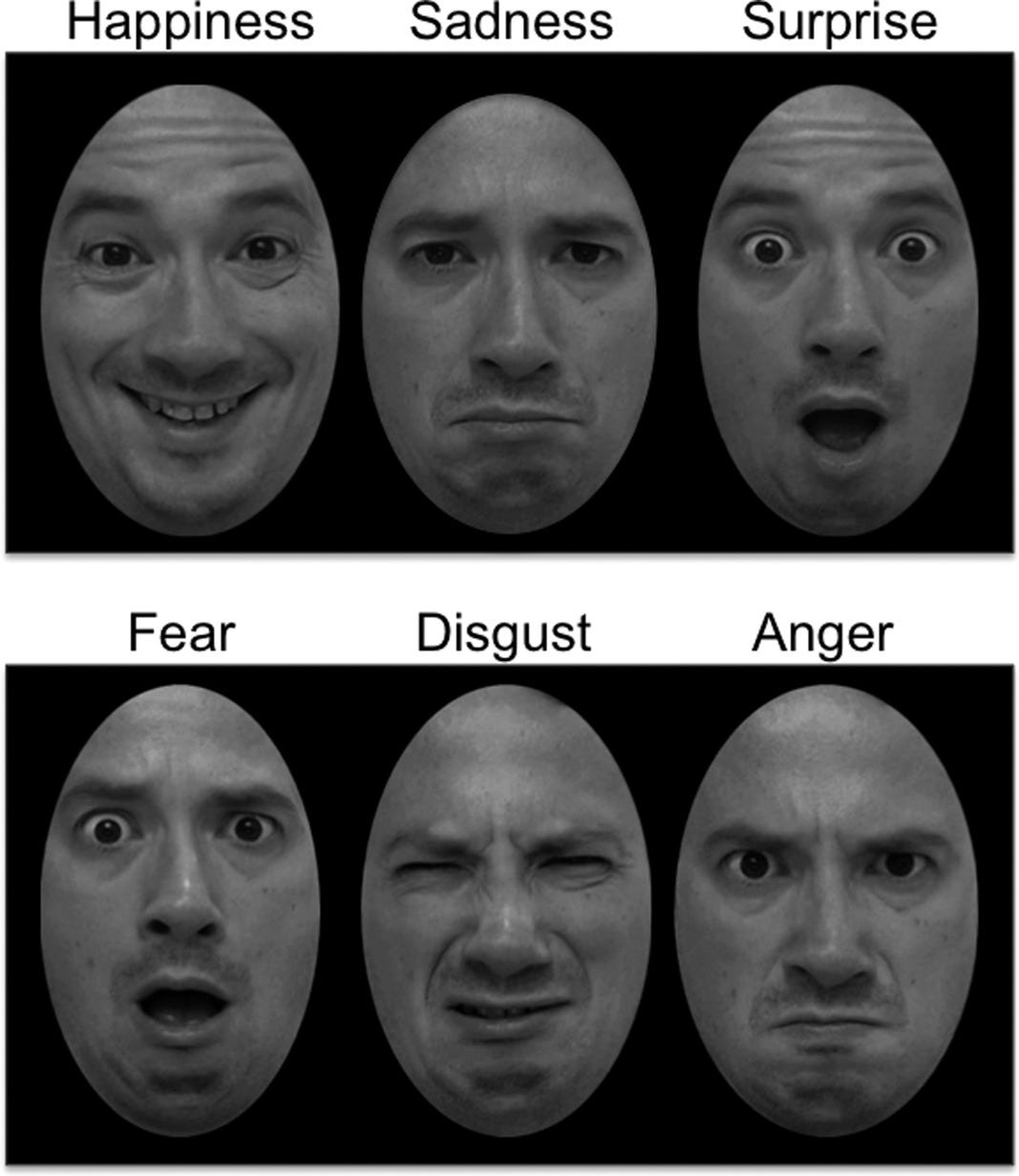 Paul Ekman Is Wrong, Part 1: Facial Expressions and Autism | by Quanhui ...
