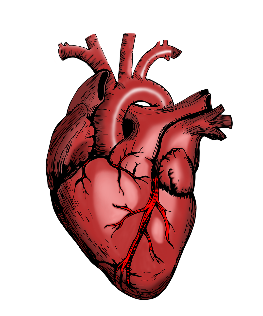 Guarding Your Heart: A Comprehensive Guide to Protecting Your Heart ...