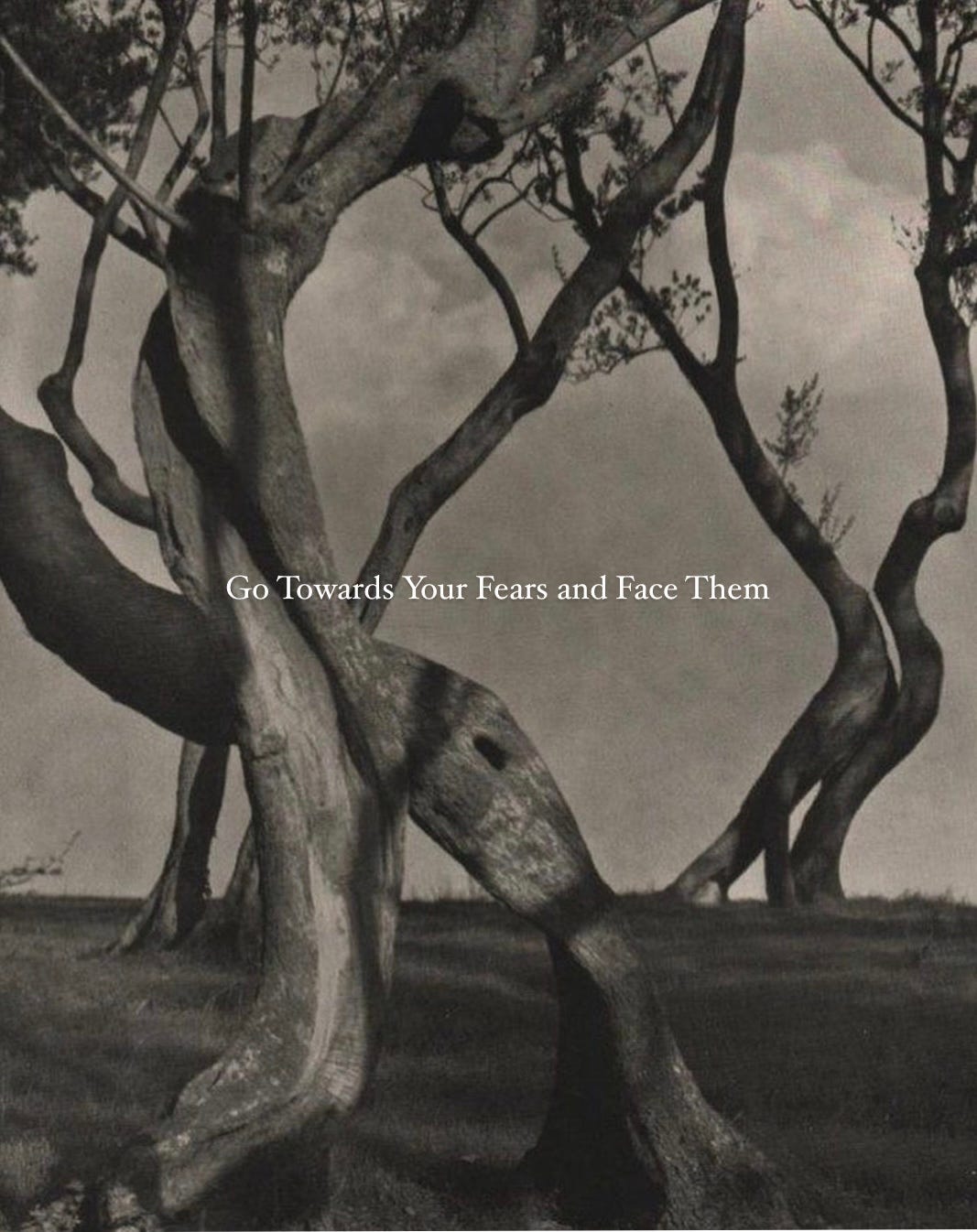 Go Towards Your Fears. Call your Ego for help | by Alina_Maganda | Soul ...