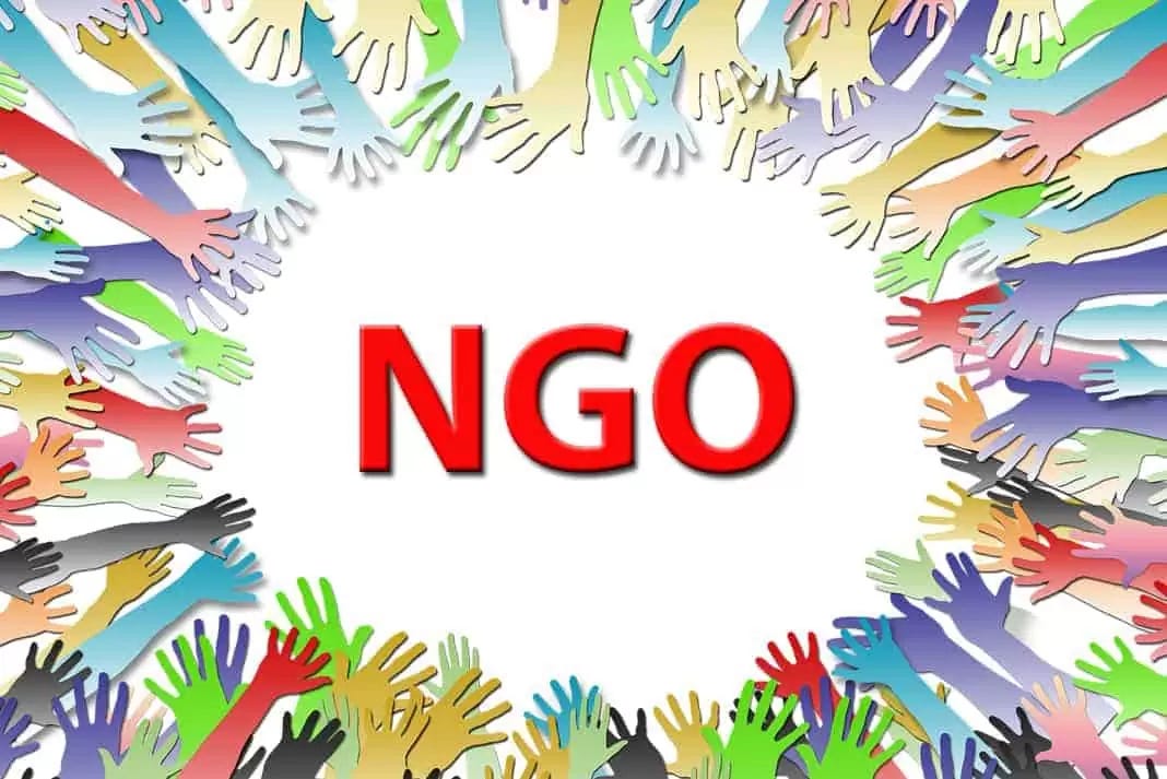 Types of NGO. 1. NGOs | by Ashikaaaa | Medium