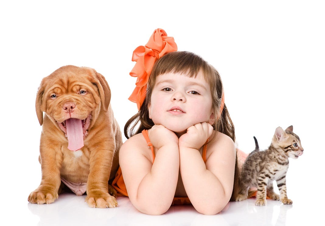 The most loving pets | by Vlaicu Alexandru | Medium