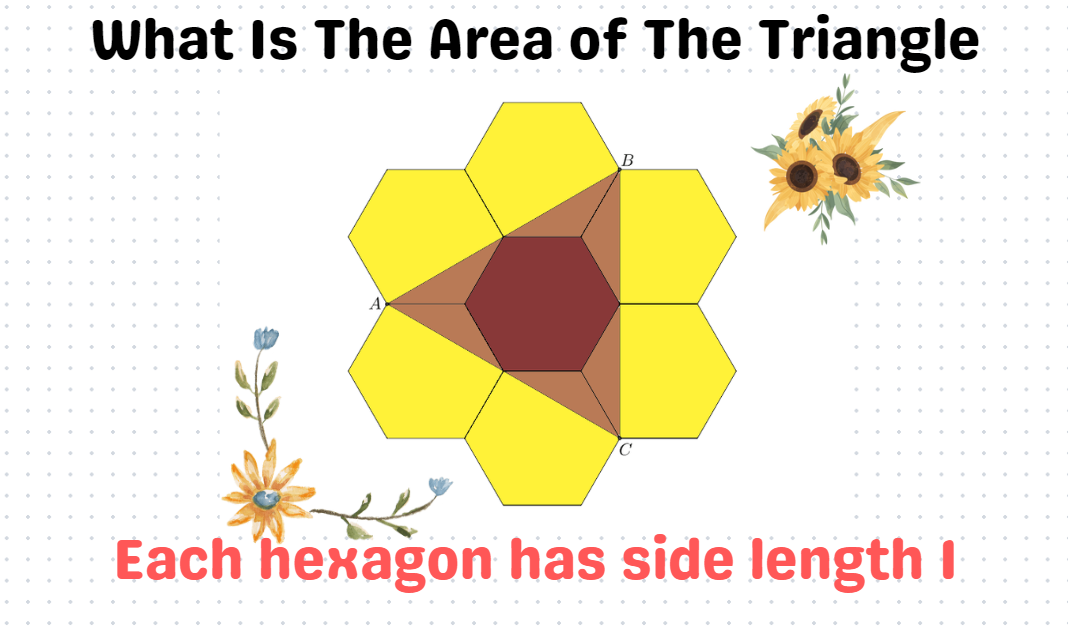 How To Find The Area of The Triangle? | by Bella Lockhart | Intuition ...