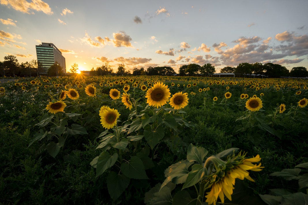 An Unexpected Friend in Detroit, Michigan | by Mason Marcobello | Jun ...
