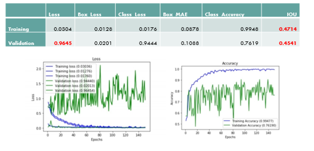 Early Infection Detection using YOLO | by Cambridge Spark | Cambridge Spark