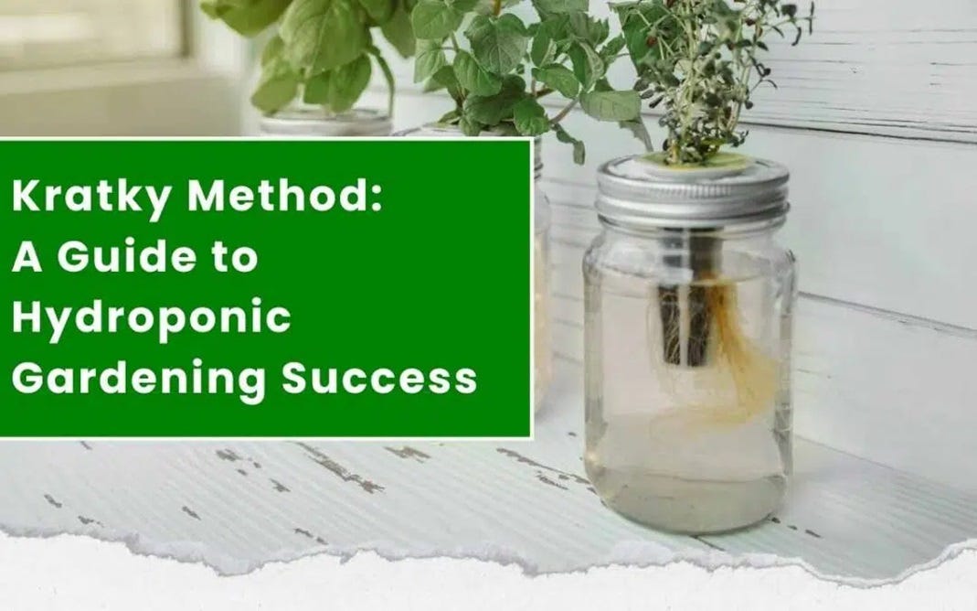 Bountiful Harvests with the Kratky Method | by kavyaorganicfarm08 | Nov ...