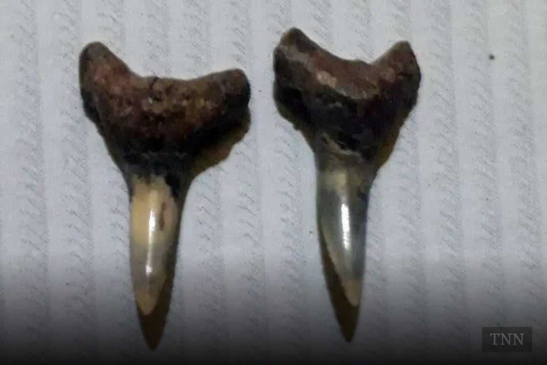 Prachi Valley. Just concluded excavations are casting… | by Hrushikesh ...