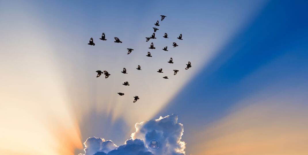 Honoring Truth: Embracing Authenticity and Integrity | by Gabriella ...