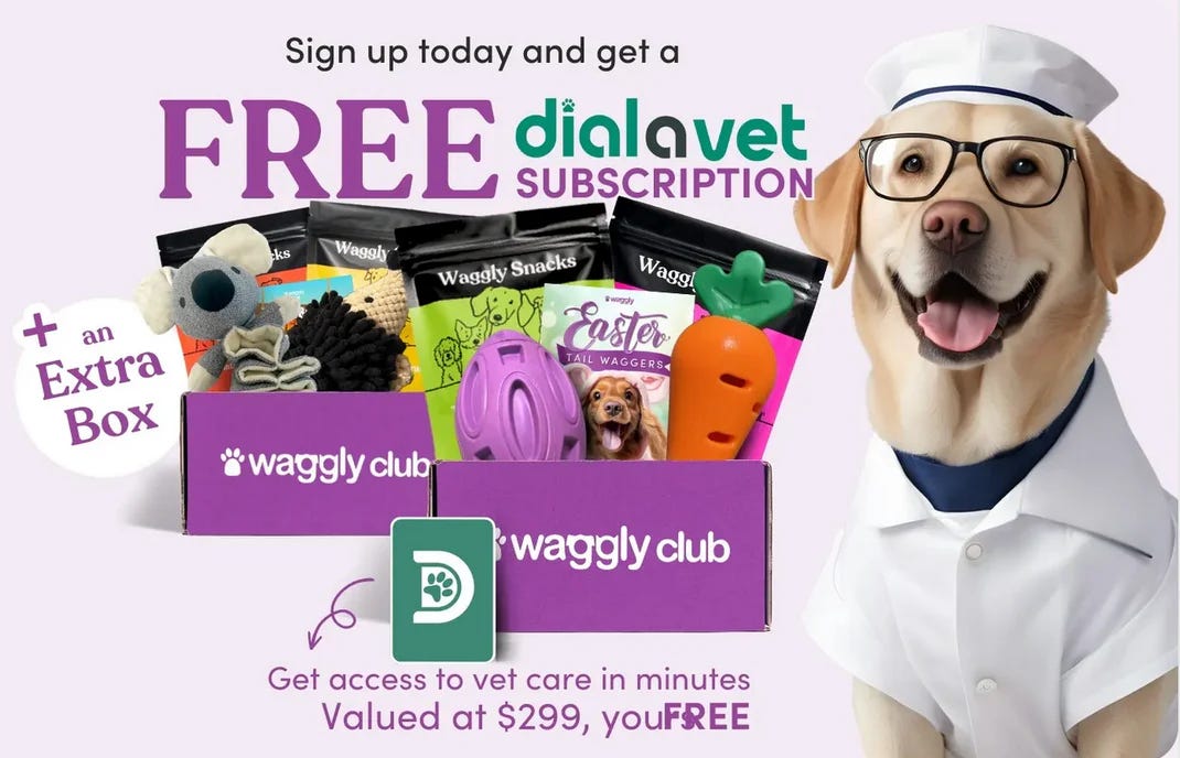 Waggly Now Offers Free Dial A Vet Consultations with Their 6-Month ...