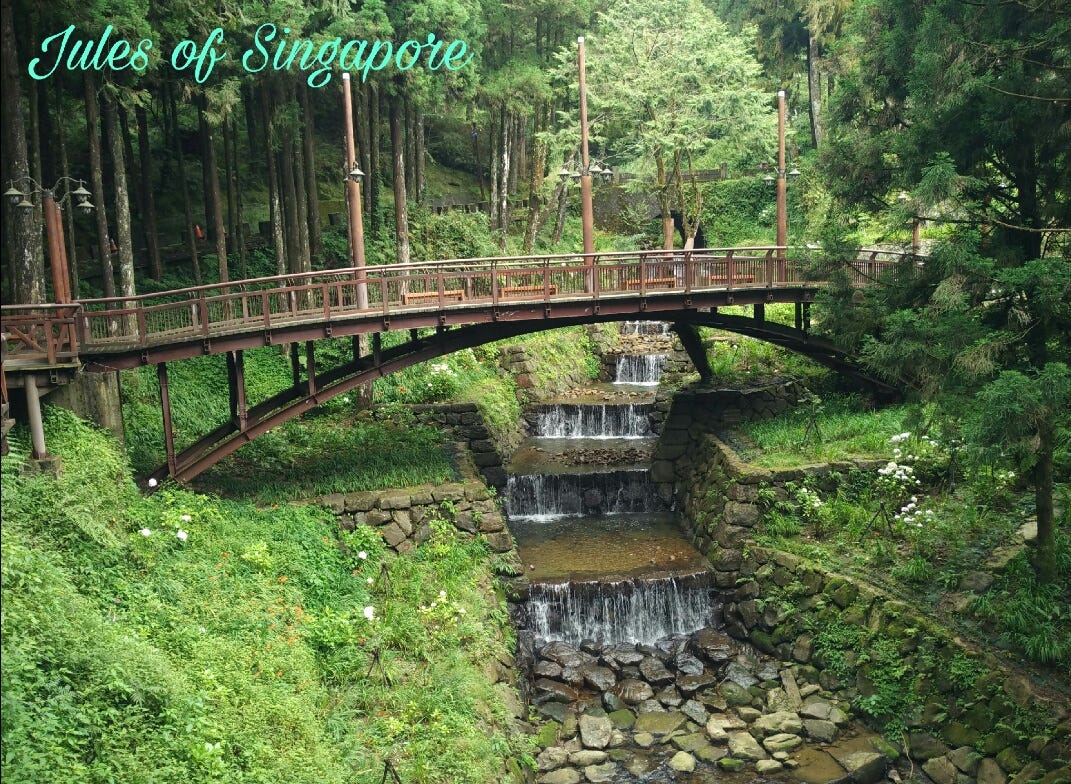 Taiwan Guides: Alishan + Fengqihu (One-Day Itinerary) | by Jules of ...