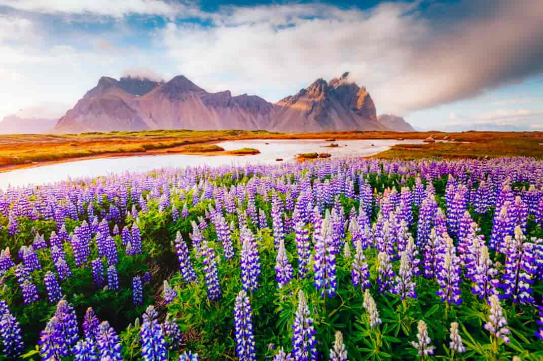 India’s Enchanting Wonders Discovering the Most Beautiful Places | by ...