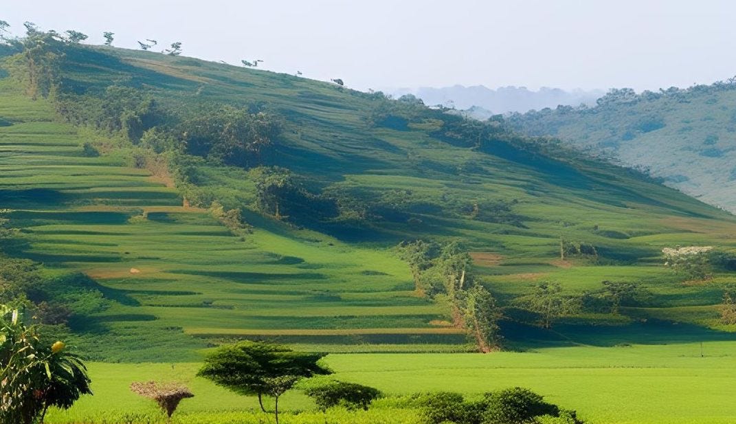 NASA Harvest Field Boundary Detection Challenge: Announcing the Winners | by Radiant Earth ...