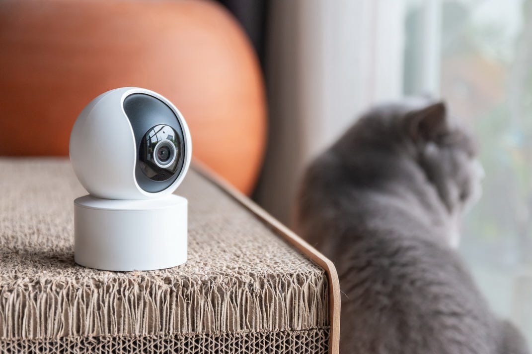 What I Learned After Going Down the Indoor Home Security Camera Rabbit ...