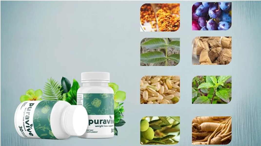 Discovering Puravive: A Deep Dive into Natural Wellness | by Avery ...