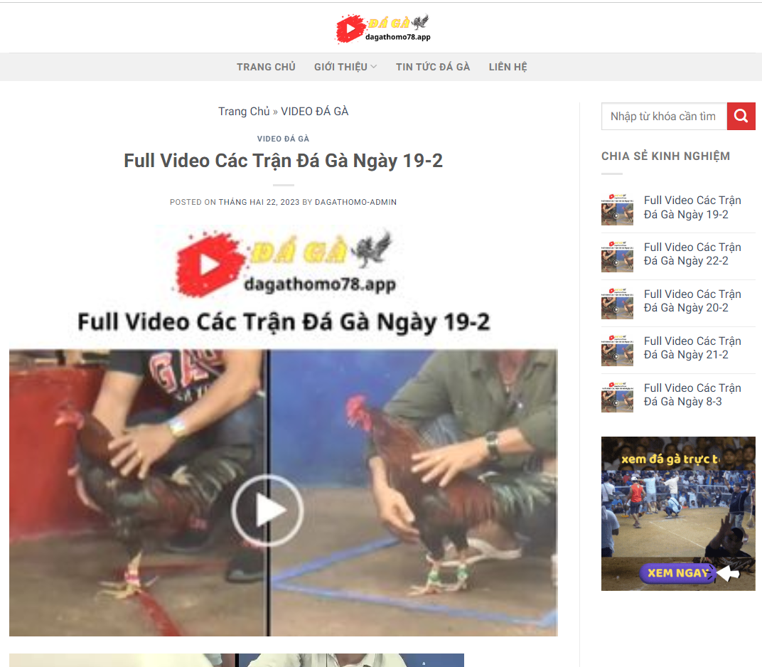 xem da ga cua sat moi nhat ngay 19 2 2023 medium - dagathomo78 - Medium