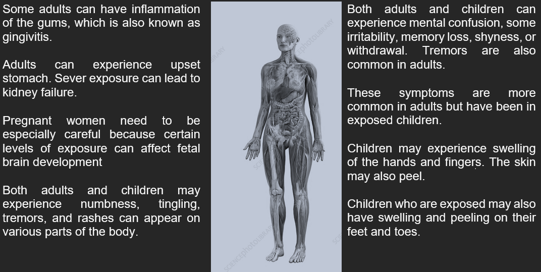 Mercury human health threats and biodiversity costs from this deadly ...