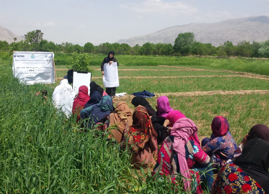 Building resilience and new skills in rural Afghanistan | by Ann Nallo ...
