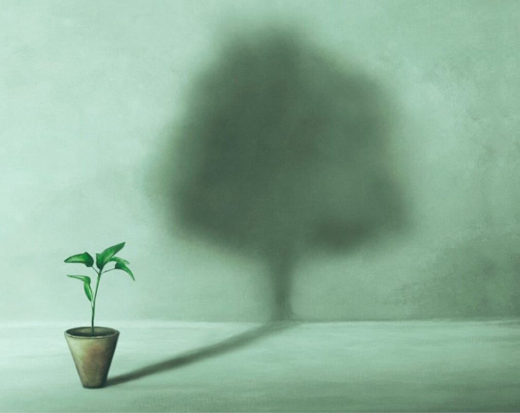 How to Heal, Rebuild, and Thrive After Life’s Toughest Setbacks | by ...