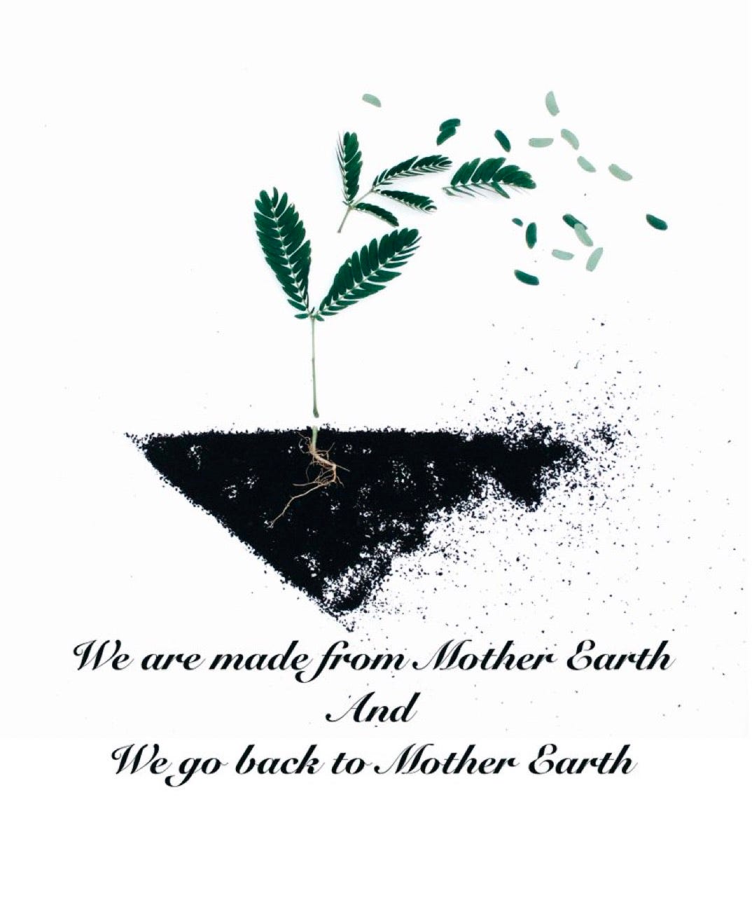 We are made from Mother Earth and We go back to Mother Earth ...