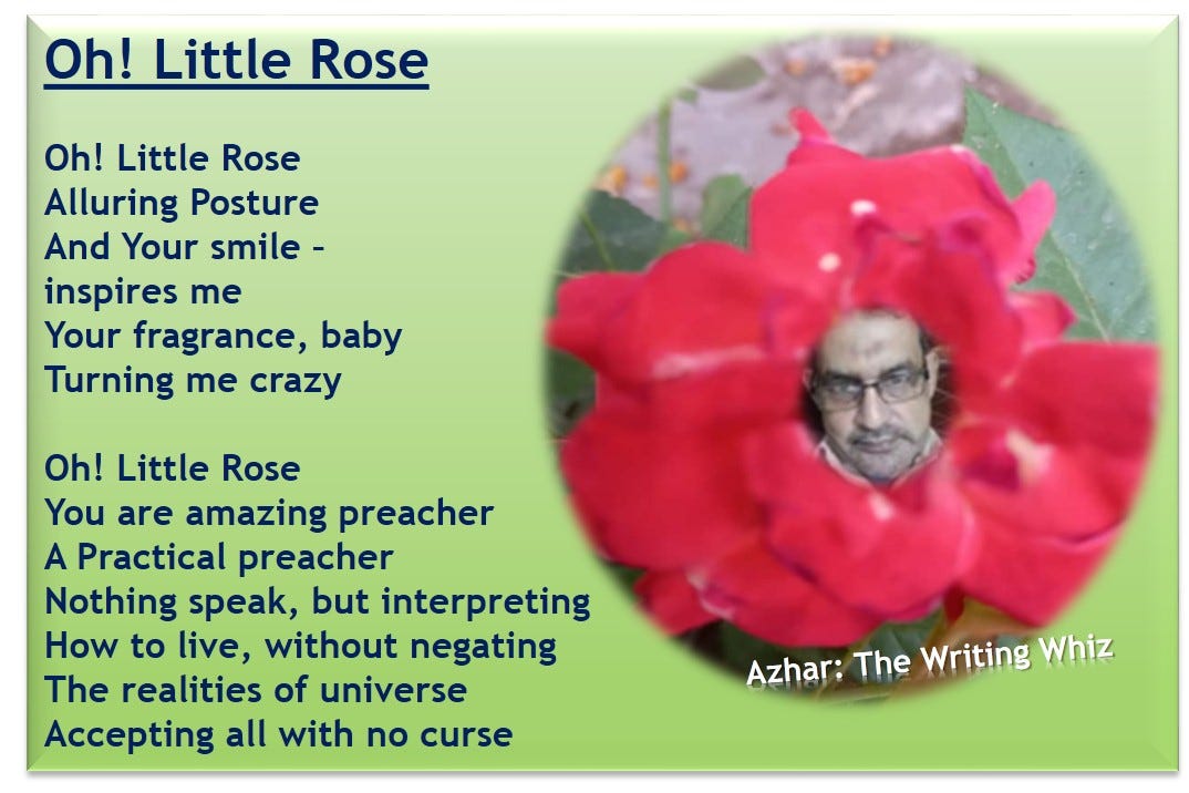 OH! LITTLE ROSE. An inspirational poem of rose | by Azhar Hussain ...