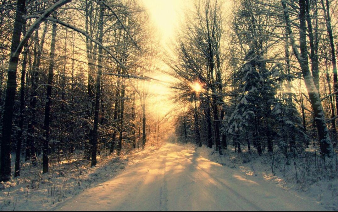 Never Dreamed You’d Leave in Winter: Dealing with the loss of a loved ...