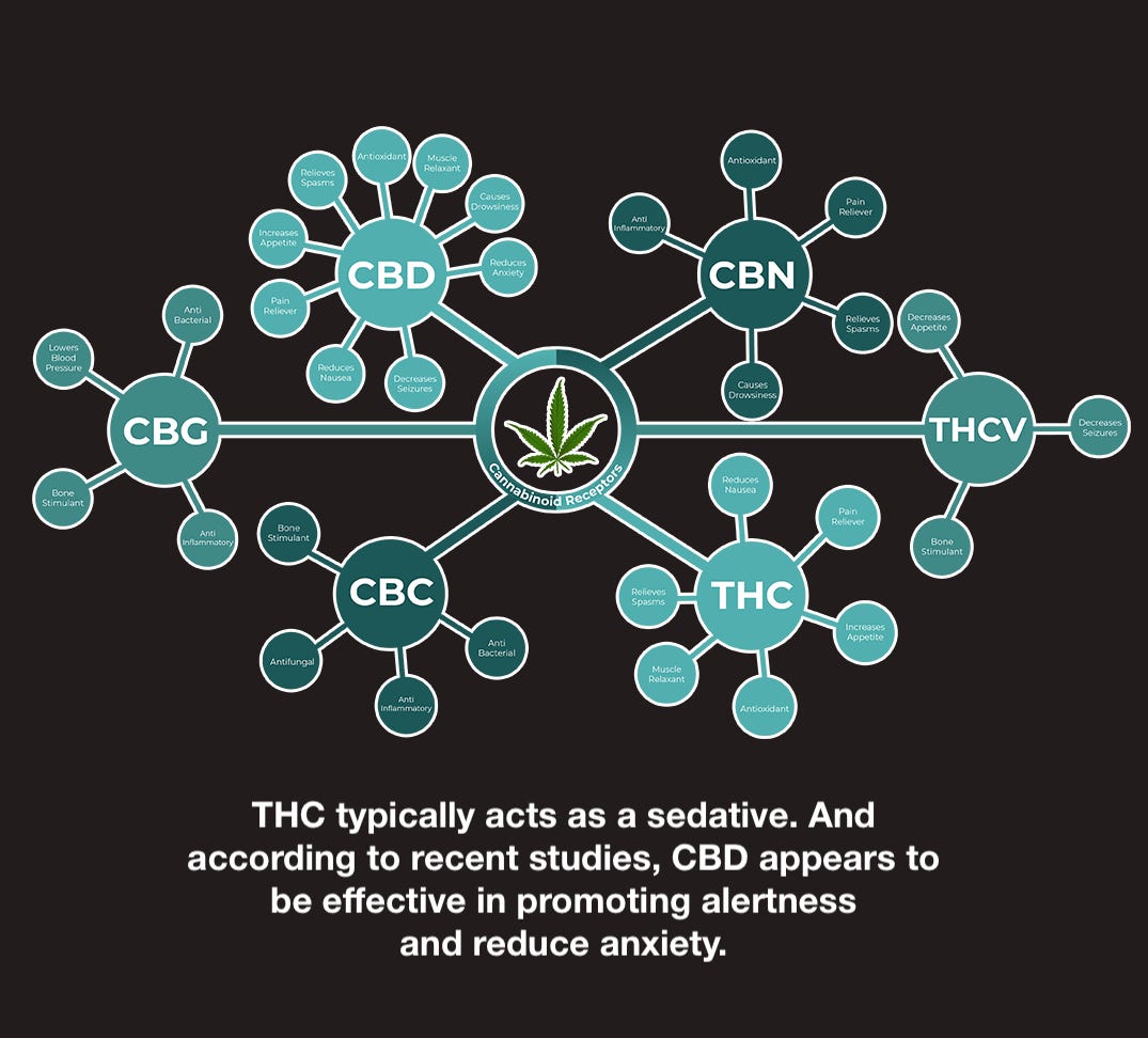 An Introduction to the Differences Between THC and CBD | by Vibe by ...