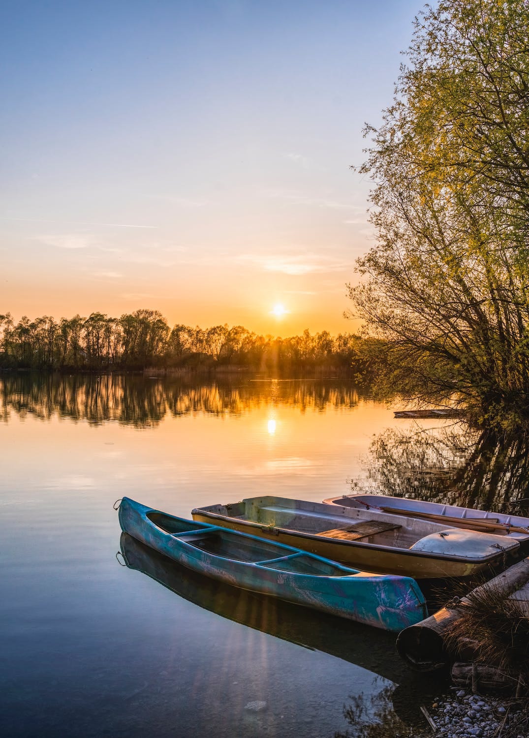Me and You and Tippy Canoe. Getting someone to do your dirty work… | by ...