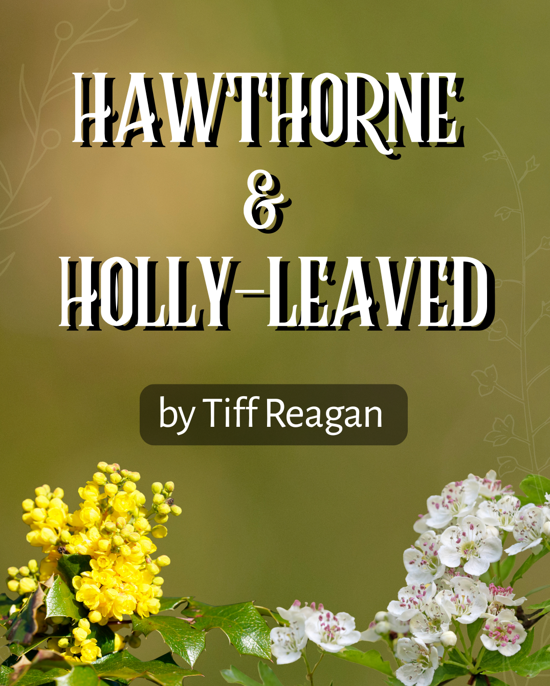 Hawthorne & Holly-leaved. A poem by Tiff Reagan | by Tiff Reagan | Medium