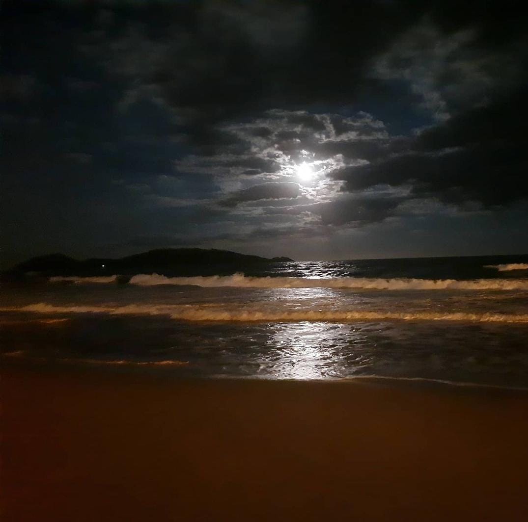 Virginia’s bullet. Poem with quotes from The Waves or… | by Carolina ...