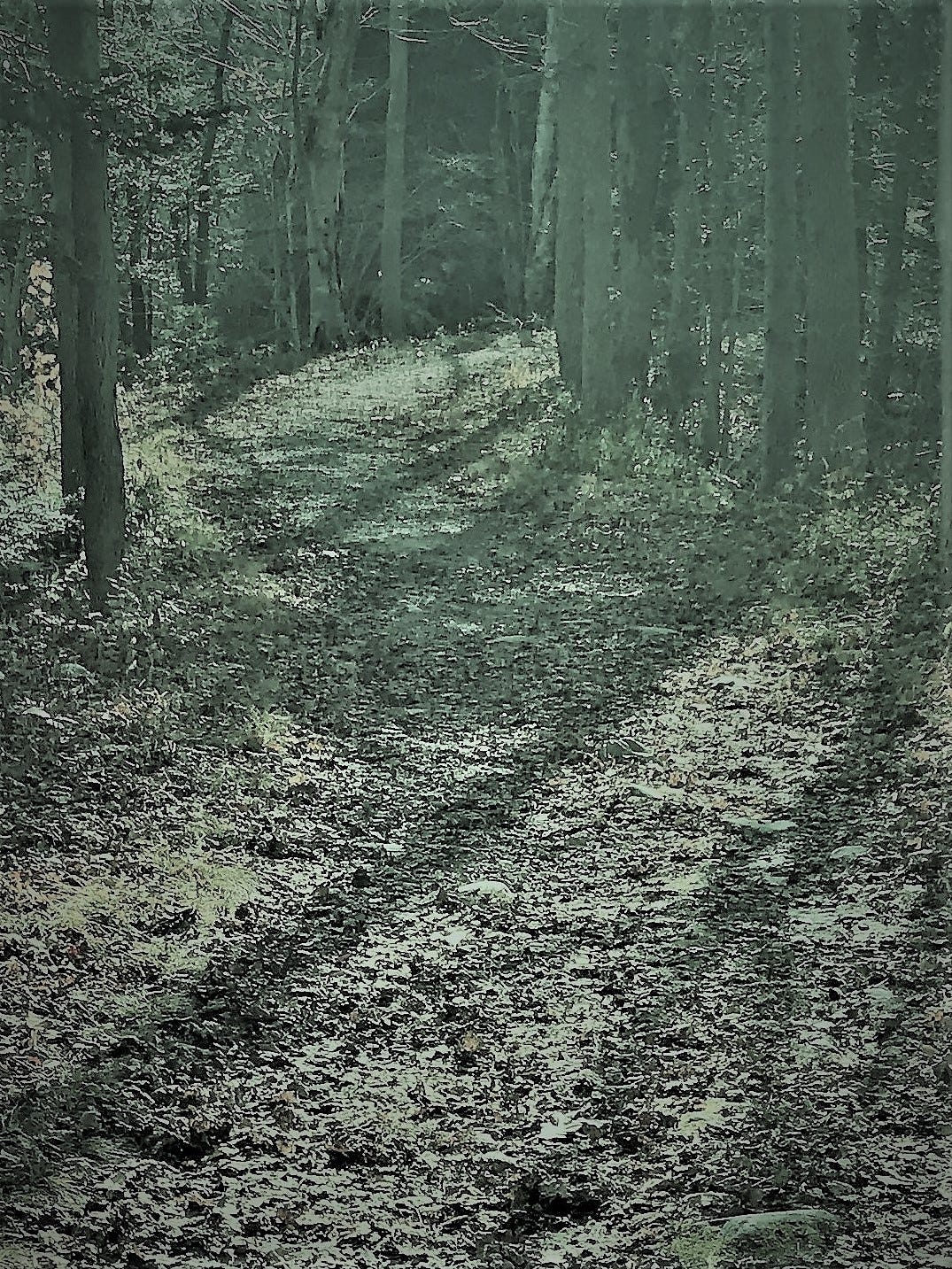 A Note to My Present Self. Into the image: August Poetry Prompt | by ...