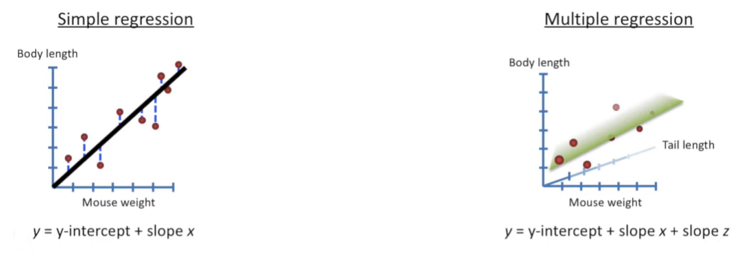 “Understanding and Applying Multiple Regression ” | by Pasquale Di Lorenzo | Medium