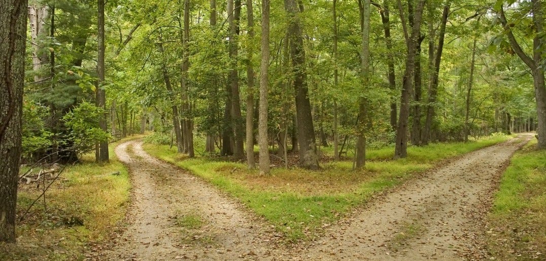 The Forked Road. Standing at the crossroads, When you’re… | by Natasha ...